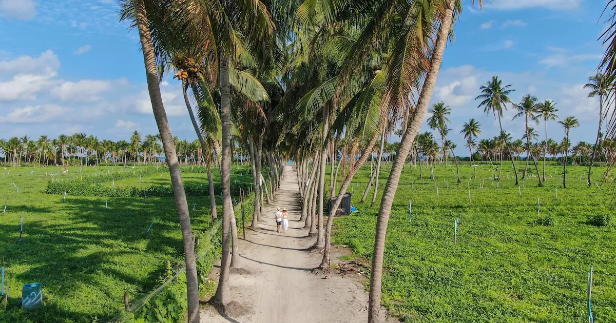 Discovering the beautiful Thoddoo | Maldives Financial Review