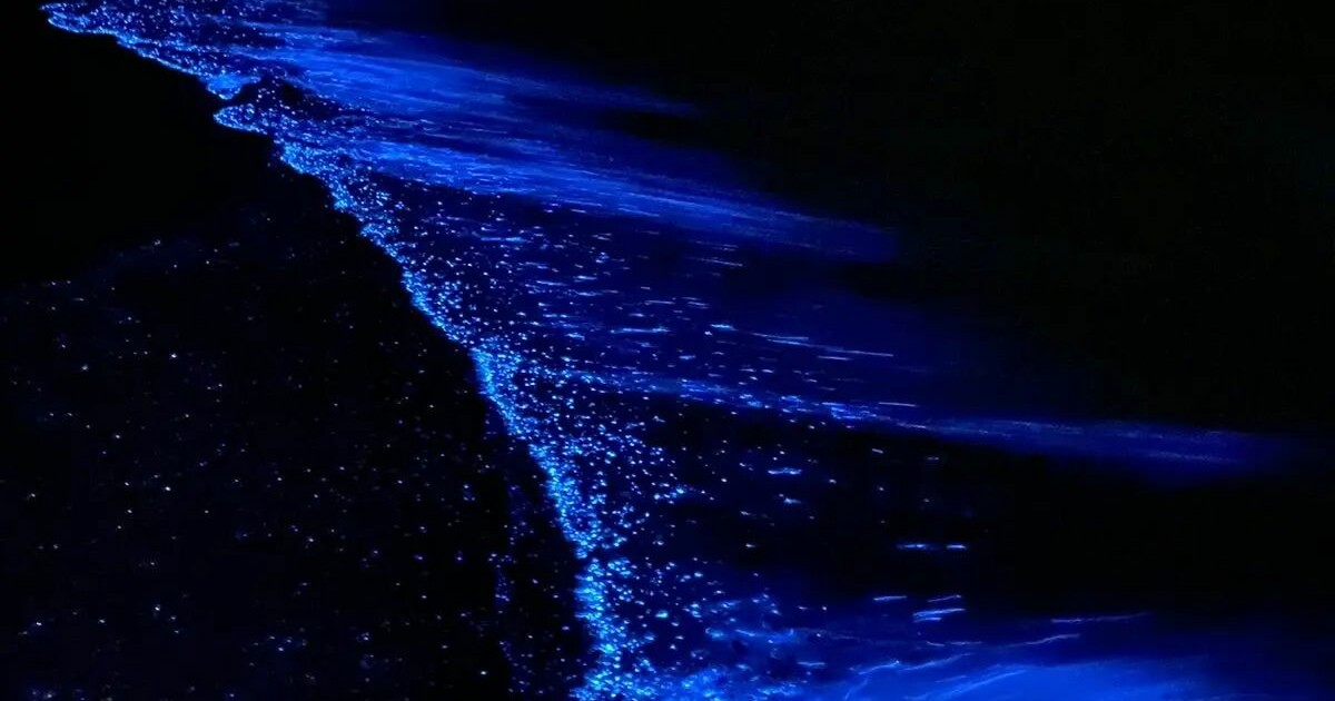 The ‘Redhan’ phenomenon | Maldives Financial Review