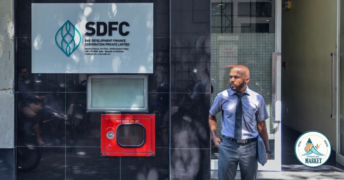 The sustainability of SME Development Finance Corporation | Maldives Financial Review