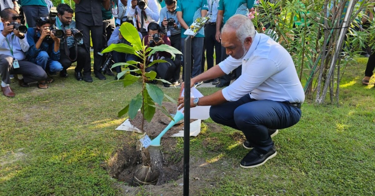 The five million tree plantation program has been inaugurated in the ...