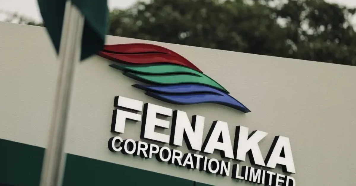 FENAKA Corporation: facing financial mismanagement, restructured under ...